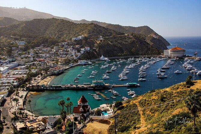 Catalina Island Private 2-Hour Tour of Avalon - Key Points