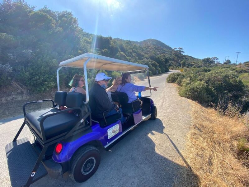 Catalina Island: Private Guided Golf Cart Tour of Avalon - FAQs