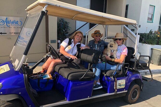 Catalina Island Private Guided Golf Cart Tour of Avalon - Who Should Book This Tour?