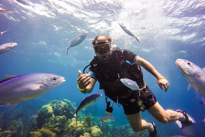 Catalina Island Scuba Diving Adventure The Wall & The Aquarium - What to Expect from the Catalina Island Diving Tour