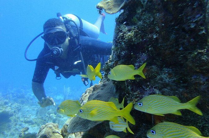 Catalina Island Scuba Diving and Snorkeling Tour from Punta Cana - Frequently Asked Questions