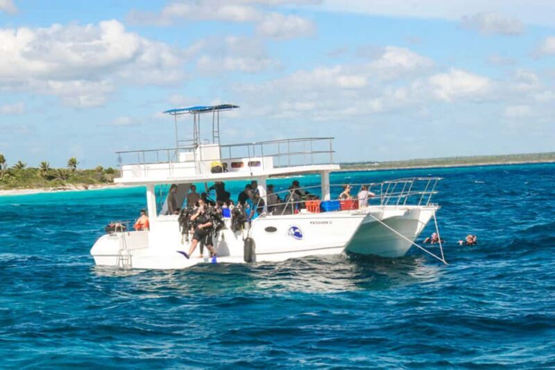 Catalina Island Scuba Diving Tour from Punta Cana - The Sum Up