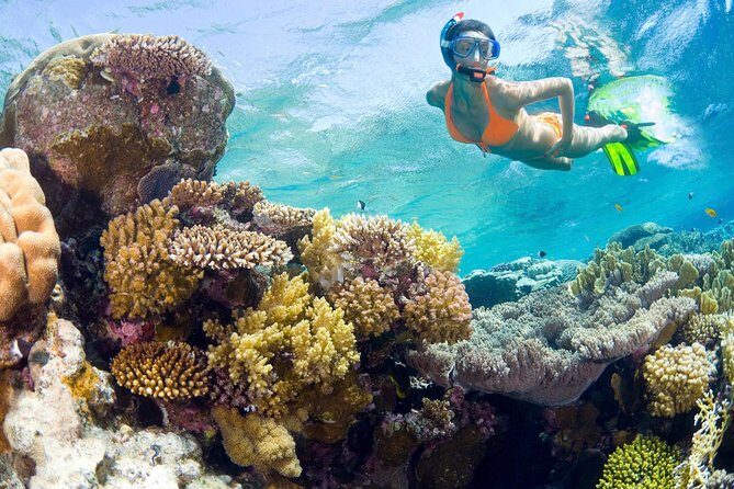 Catalina Island Snorkel Excursion from Punta Cana - Key Points