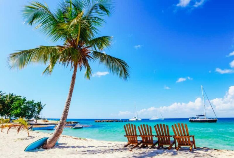 Catalina Island snorkeling Dominican Republic - An Introduction to Catalina Island Snorkeling Experience