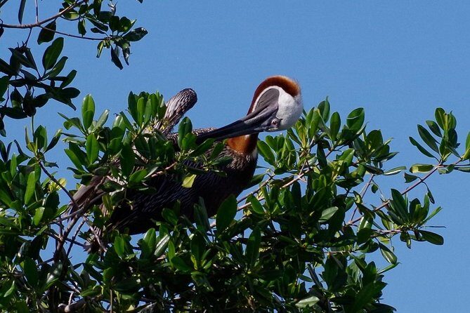 Catalina Island - Snorkeling tour on a luxury catamaran - An Honest Look at the Experience