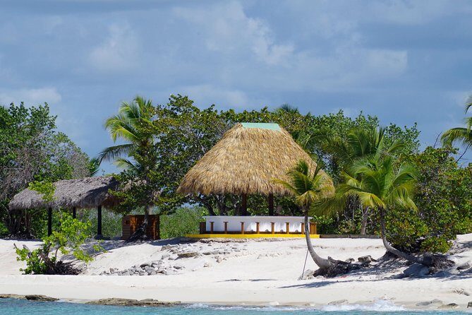 Catalina Island - Snorkeling tour on a luxury catamaran - Final Thoughts