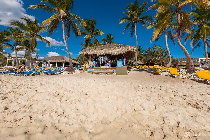 Catalina Island Tour - Who is this tour best for?