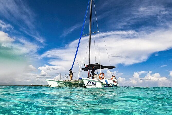 Catalina Island Tour with Lunch and Transportation Included - Introduction to the Catalina Island Tour Experience