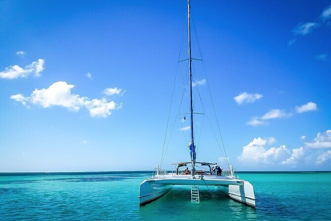 Catalina Island Tour with Lunch and Transportation Included - The Value of the Tour