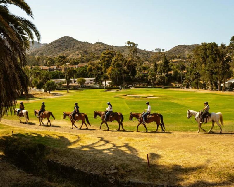 Catalina Island: Trail and Canyon Horseback Ride - Practical Details & Value