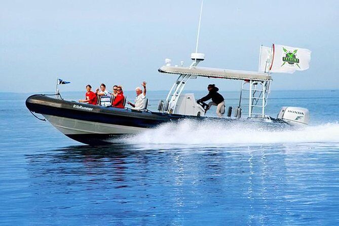Catalina Island Trip with Hotel transfers & Optional tours - The Itinerary in Detail