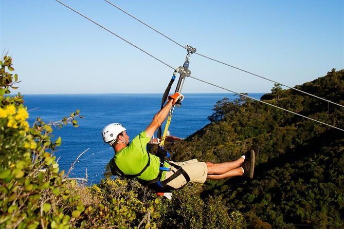 Catalina Island Trip with Zipline Eco Tour and Hotel Transfers - Who Will Love This Experience?