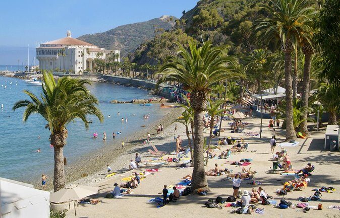 Catalina Island w/Discover Avalon Scenic Tour & Hotel transfers - The Experience in Detail