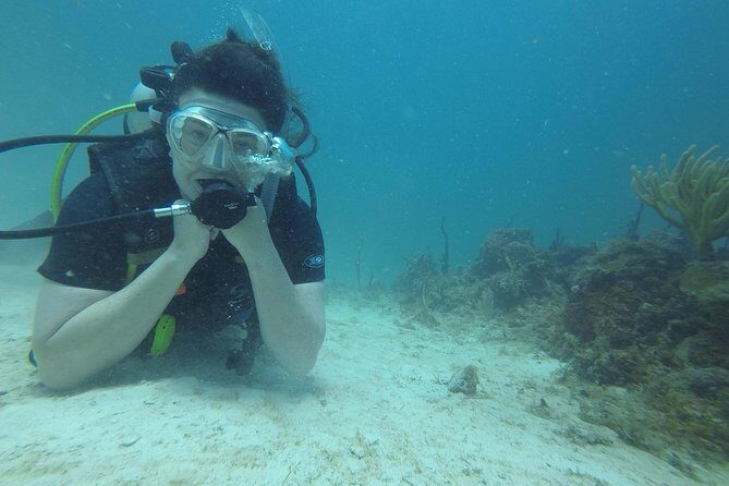 Catalina Island With Scuba Diving - Amazing Full Day Tour Activity - The Sum Up