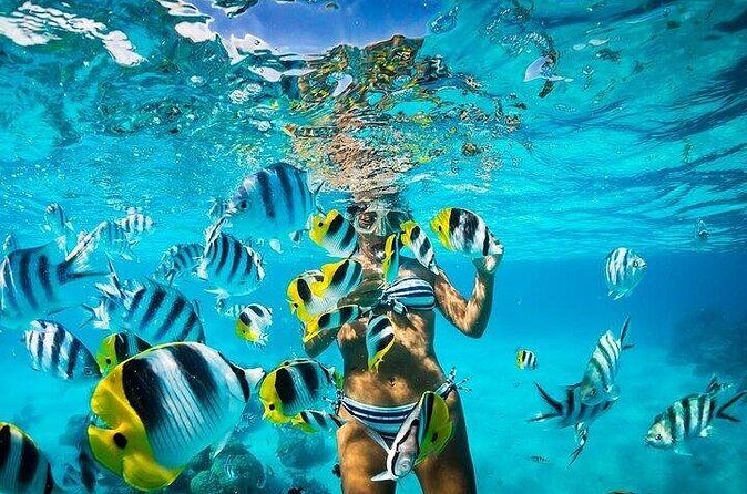 Catalina Island with Snorkeling and Lunch and Transportation Included - Authentic Experiences and Cultural Touches