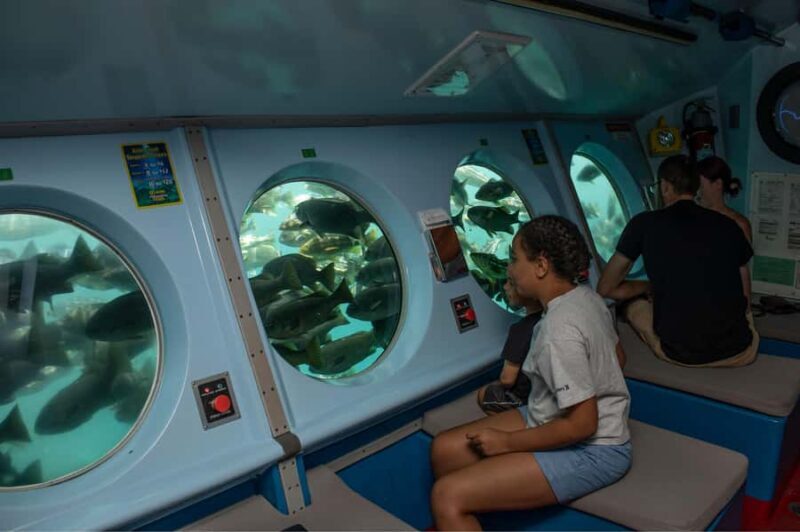 Catalina Island: Yellow Semi-Submarine Cruise - Final Thoughts