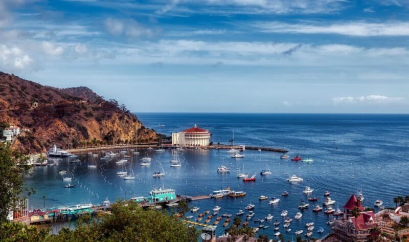 Catalina Island: Yellow Semi-Submarine Cruise - Key Points
