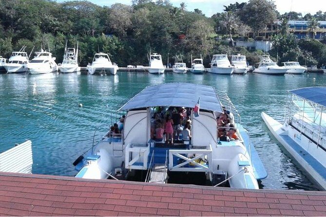 Catalina Island+Snorkeling - Final Thoughts