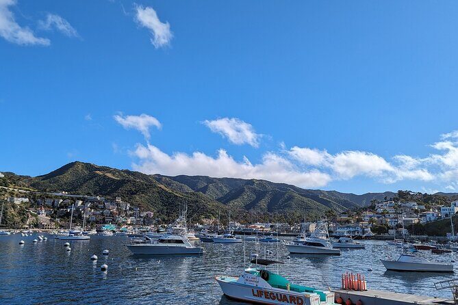 Catalina Scavenger Hunt Walking Tour and Game - Who Is This Tour Best For?