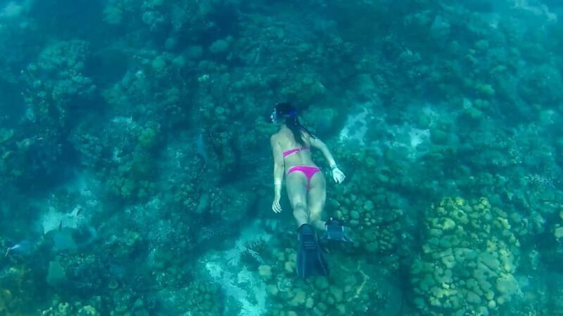 Catalina Snorkeling at The Wall & Altos de Chavón Tour - FAQ