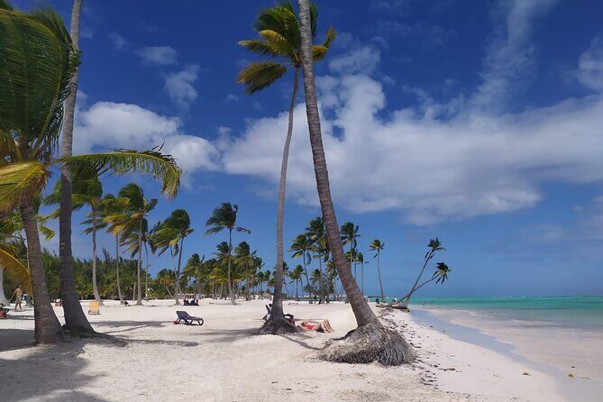 Catalina Snorkeling Wall and Altos Chavon Tour - Catalina Island — Beach and Relaxation