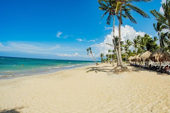 Catalina Snorkeling Wall and Altos Chavon Tour - Price and Value — Is It Worth It?