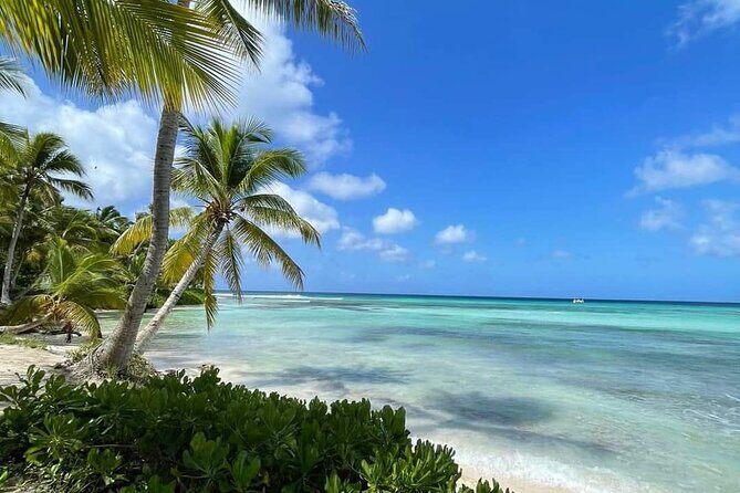 Catalina Snorkeling Wall and Altos Chavon Tour - Frequently Asked Questions