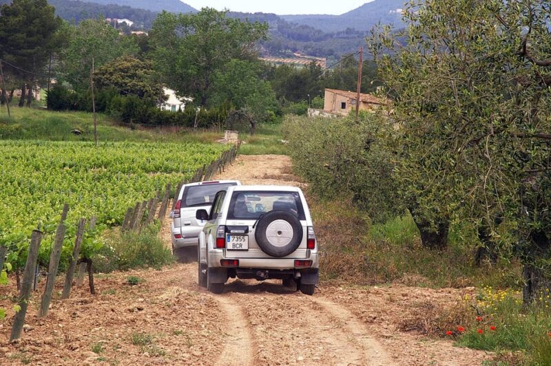 Catalonia: Unique, bespoke wine cellar visits - An In-Depth Look at the Experience