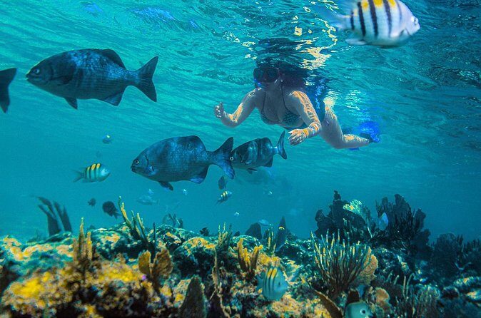 Catamaran along the Riviera Maya Snorkel food and open bar - Practical Tips for Booking and Enjoying the Tour