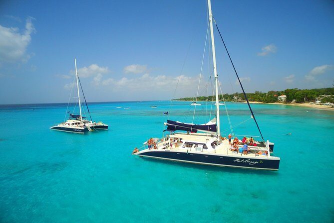 Catamaran and Snorkeling Cruise At Carlisle Bay - Key Points