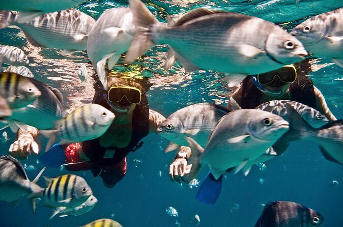 Catamaran and Snorkeling Cruise At Carlisle Bay - FAQs