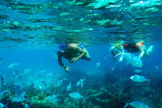 Catamaran Booze Cruise And Snorkeling Punta Cana - Adults Only - Key Points