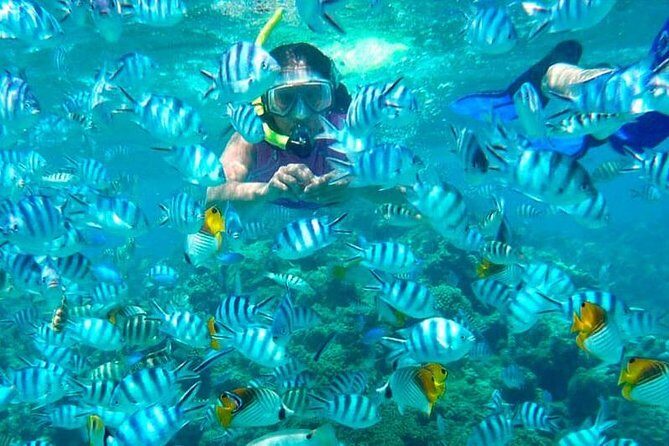 Catamaran Catalina Island Day Trip with Lunch - FAQ