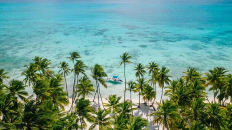 Catamaran Cruise on Saona Island with Lunch and Drinks - The Itinerary: From Bayahibe to the Caribbean Paradise