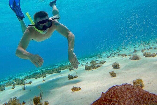 Catamaran Cruise to Cozumel Reefs + Water Park Fun - Fury Private Beach Club: Ultimate Beachside Fun