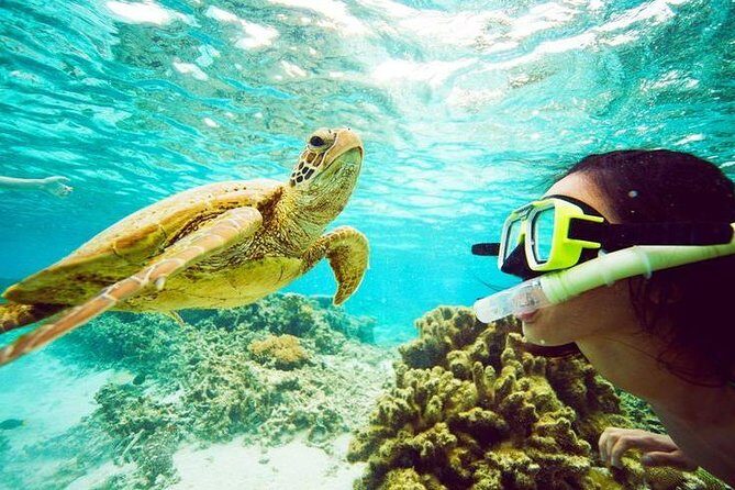 Catamaran cruise with Dunn's River falls from Ocho Rios - The Itinerary — What to Expect