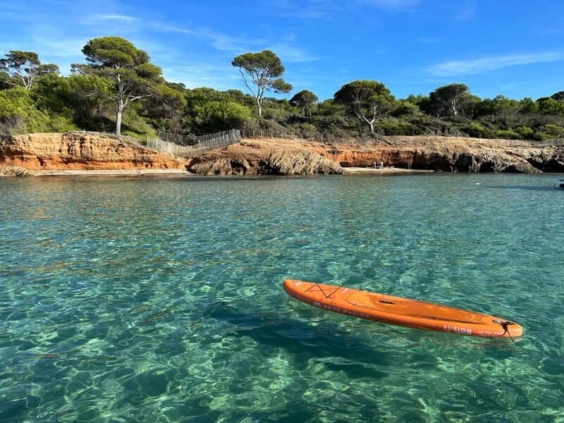Catamaran day trip to the Giens Peninsula and Porquerolles Island - Key Points