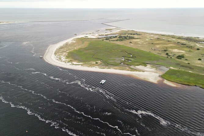Catamaran Dolphin Cruise in Myrtle Beach with Barrier Island Stop - The Sum Up