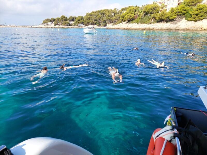 CATAMARAN ECO EXPERIENCE at Palma Bay - Analysis of the Pricing and Overall Value