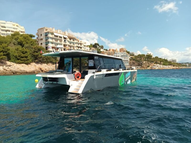 CATAMARAN ECO EXPERIENCE at Palma Bay - Who Will Love This Tour?