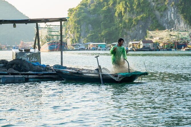 Catamaran Luxury Day Cruise from Cat Ba Island ( Afternoon Tour ) - Practical Information and Tips