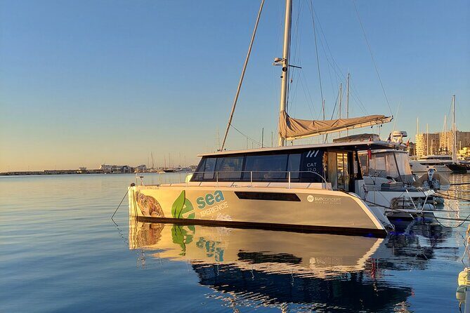 Catamaran Mallorca Eco Experience - What to Expect from Your Eco Sailing Adventure