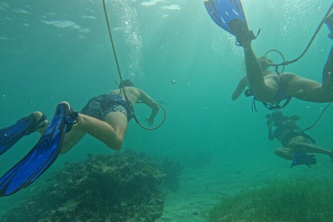 Catamaran Party and Hooka Diving Experience - Practical Tips