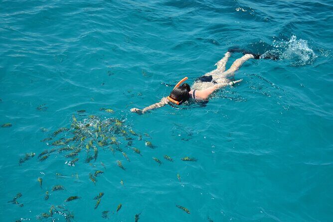 Catamaran Party Cruise To Dunns River Falls - Key Points