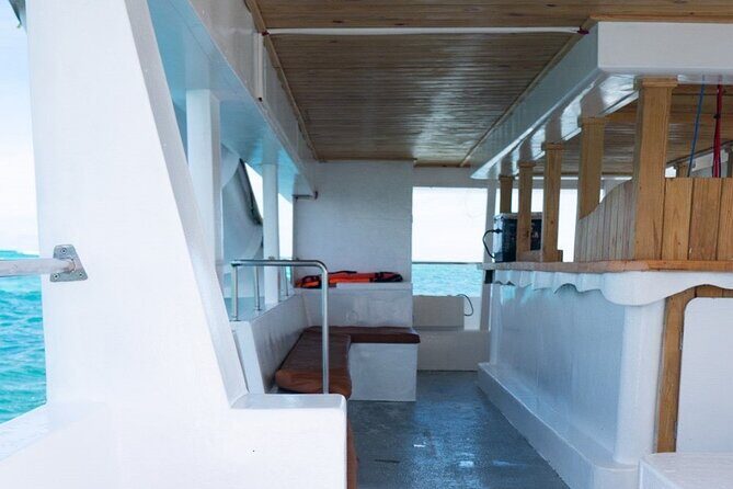 Catamaran Party Snorkeling and Barra Libre from Punta Cana - Transportation and Group Size