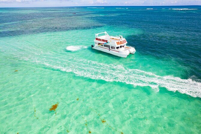 Catamaran Party Snorkeling and Barra Libre from Punta Cana - The Sum Up