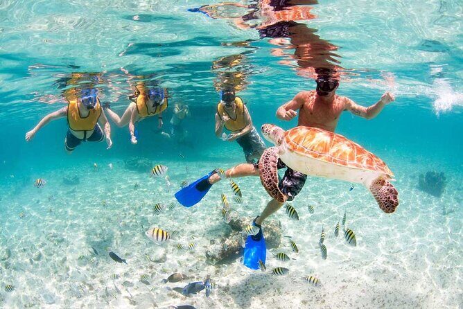 Catamaran Plus Tour to Isla Mujeres with National Open Bar from Cancun - The Overall Value & Practicalities