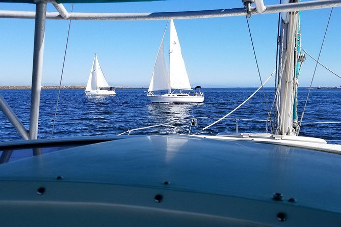 Catamaran Sailing Cruise on San Diego Bay for up to 6 Guests - The Real Value: Who It’s Perfect For
