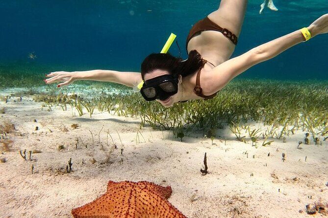 Catamaran Sky Tour in Cozumel - The Experience on the Water