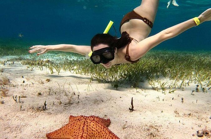 Catamaran Sky Tour in Cozumel - FAQ — Common Questions About the Catamaran Sky Tour in Cozumel
